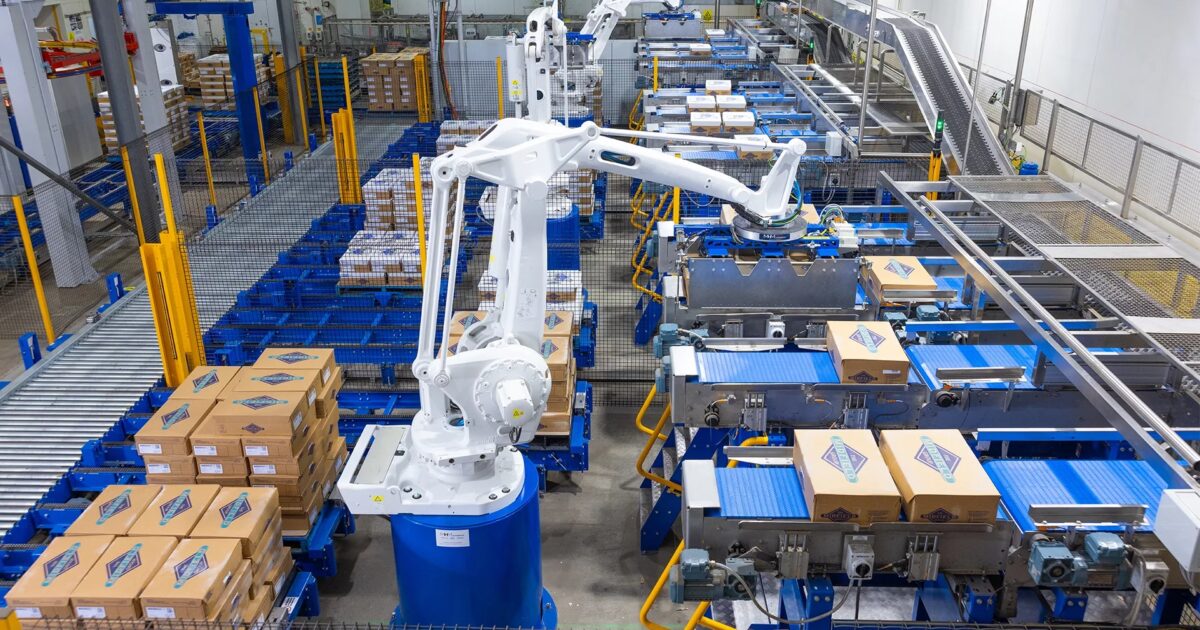 Robotic Palletising System | MHM Automation