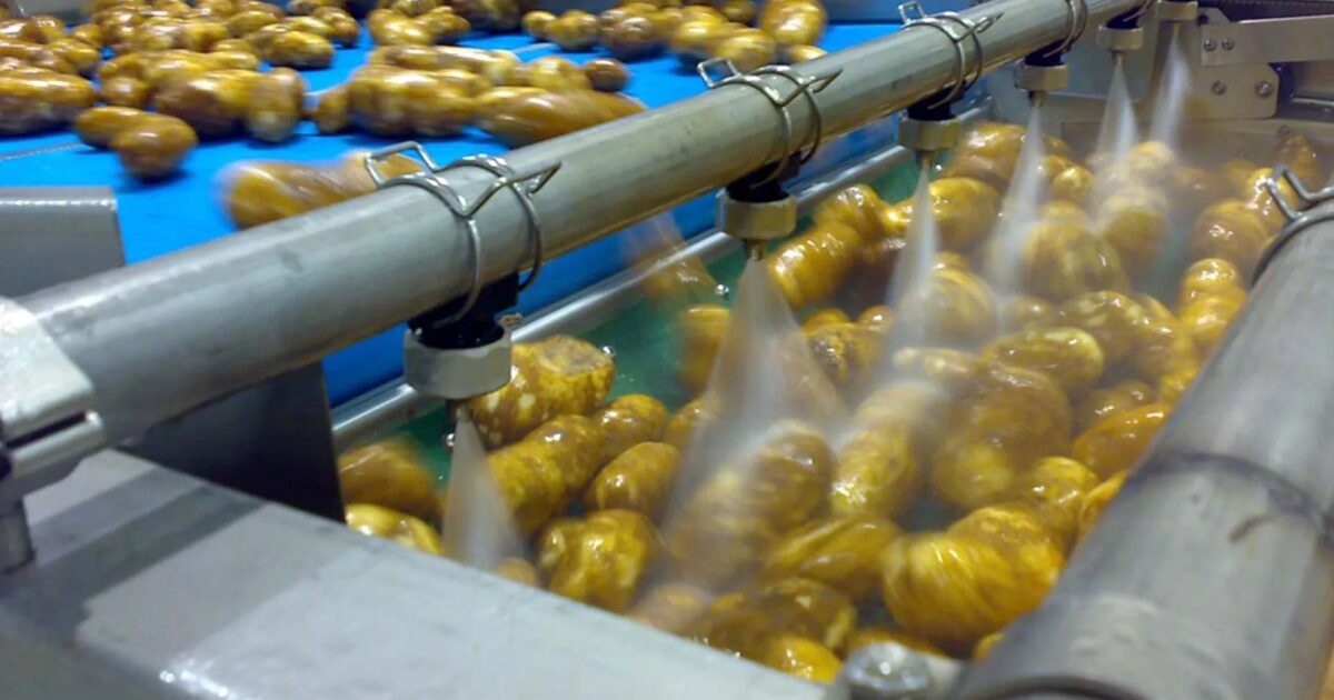 Post-Harvest Potato Processing Lines | MHM Automation