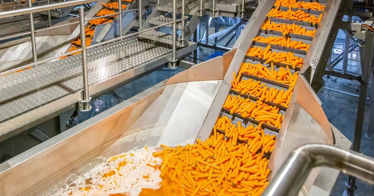 Post-Harvest Bunkers & Hoppers | MHM Automation