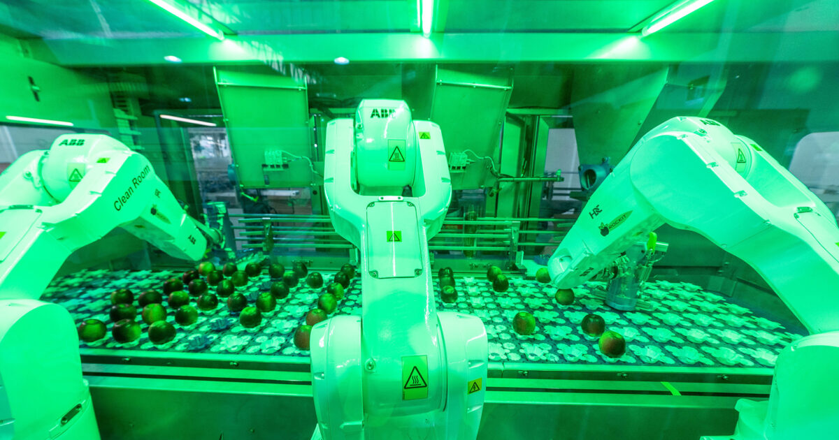 Robots enabling NZ international business award… | MHM Automation